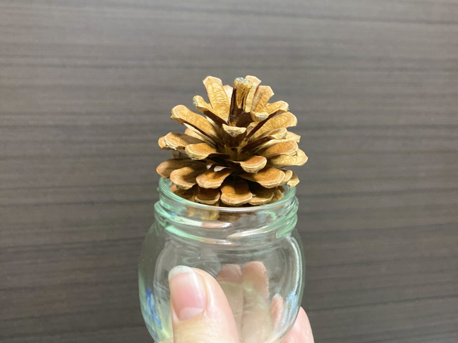 まつぼっくりで遊ぶ | 富士山・南アルプス・八ヶ岳の見える別荘地：諏訪 霧ヶ峰高原の別荘地ビバルデの丘